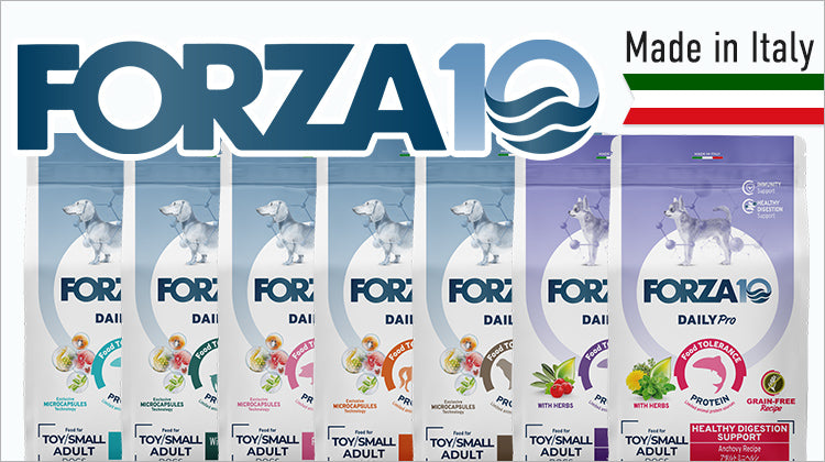 FORZA10 デイリーフォルツァ – ペットスマイル ガレノス