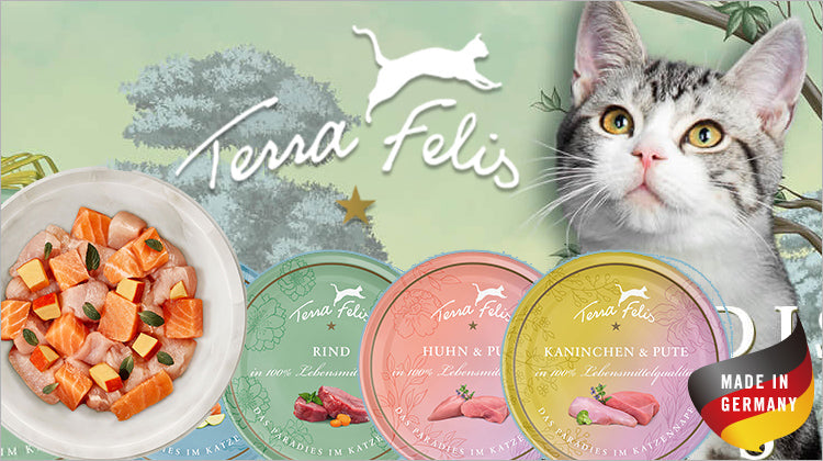 テラフェリス – ペットスマイル ガレノス